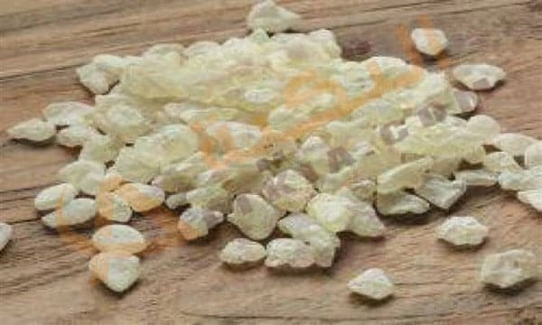 فوائد المستكة للصحة