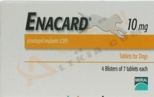 إنكارد (ENACARD) دواعي الاستعمال، الآثار الجانبية، الجرعة والموانع
