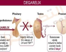 جراتيسوفير (Gratisovir) دواعي الاستعمال، الآثار الجانبية، الجرعة والموانع